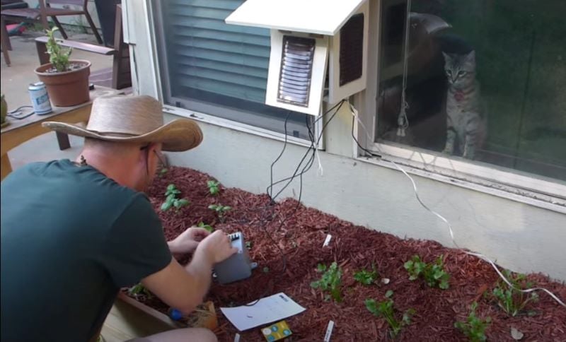 Arduino Garden Fasci Garden