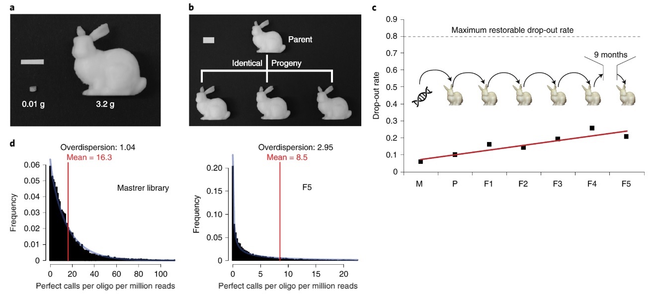 3D Printed Bunny Holds Information Encoded in DNA to Copy Itself | All3DP