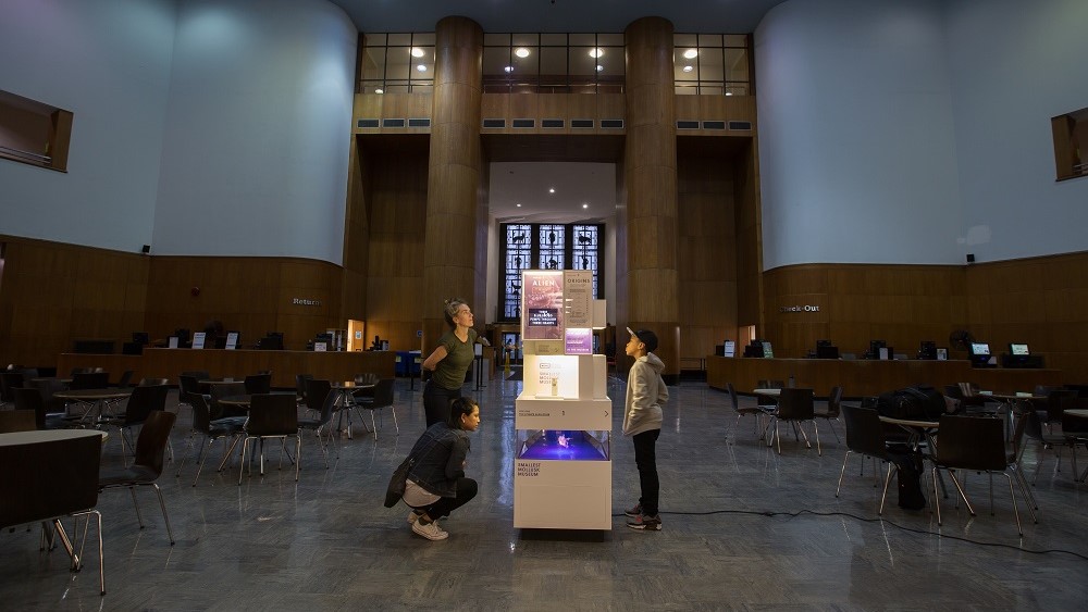Miniature Mollusk Museum in Brooklyn Public Library | All3DP