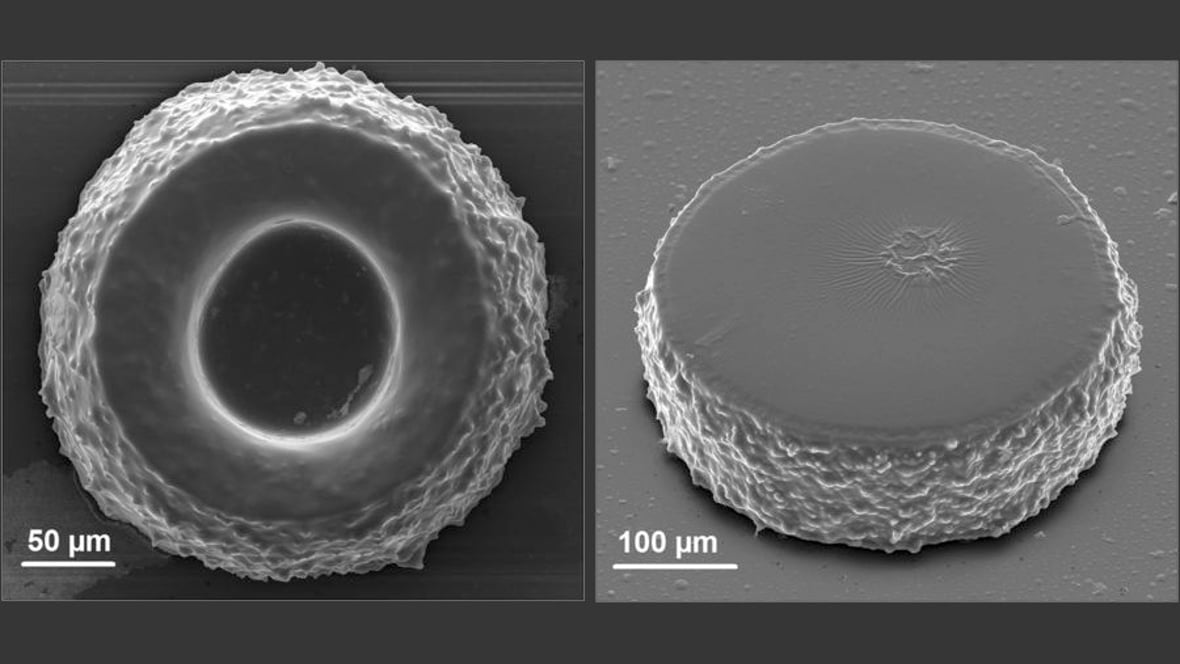 Russian Physicists Develop Special Nanoparticles for Biomedical 3D ...
