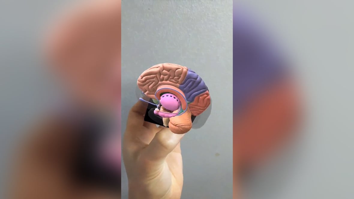 3D Print This Augmented Reality Cube, Hold Brains (And Other Things) In ...