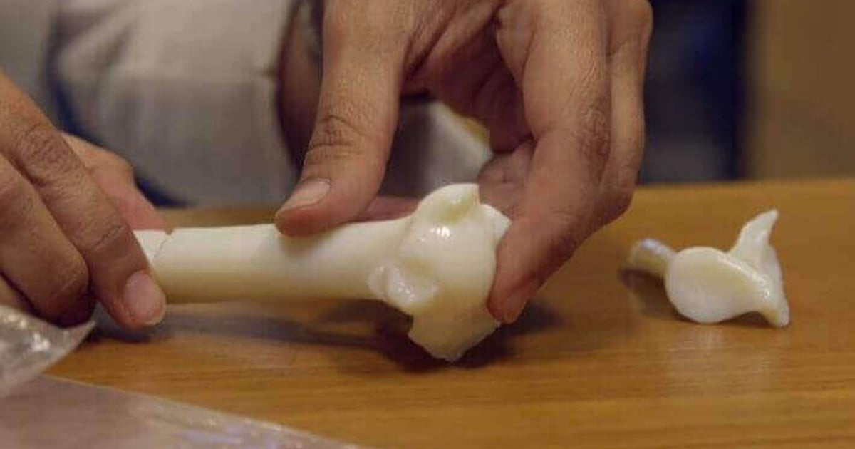 3D Print Replica Bones From Lucy the Fossil | All3DP