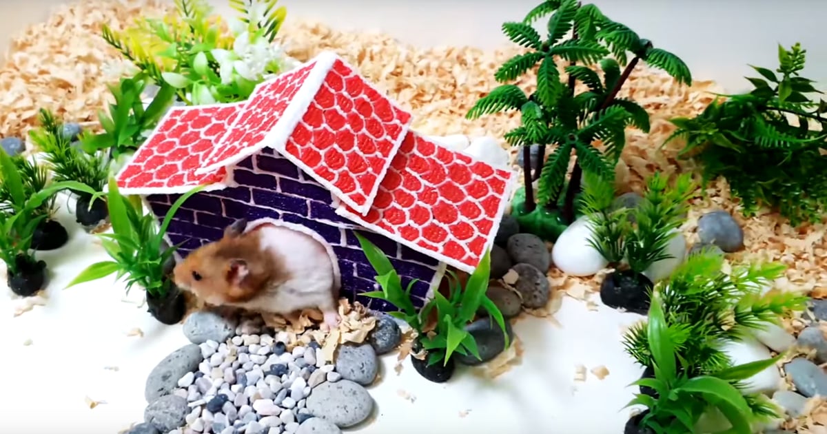 How to Draw a House for Your Hamster with a 3D Pen | All3DP