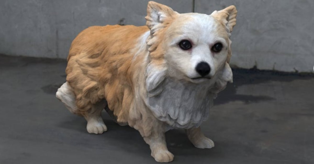 How to Make a 3D Model of My Dog & Print It | All3DP