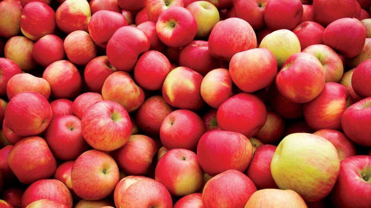 Biomaterial From Apple Waste Leads to Medical Breakthrough | All3DP