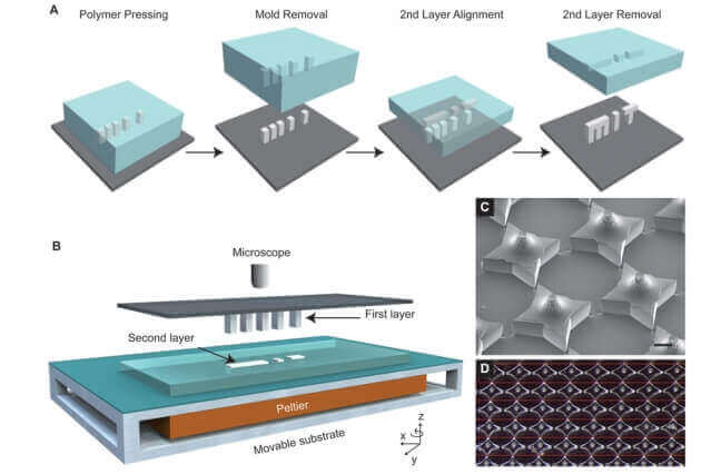 3D Fabrication Technique Allows for Multiple Vaccinations in Single ...