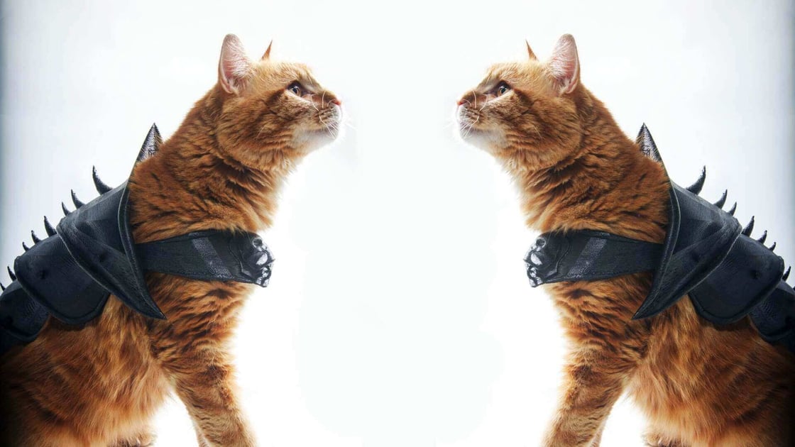 Dressed To Kill: 3D Printed Cat Armor | All3DP