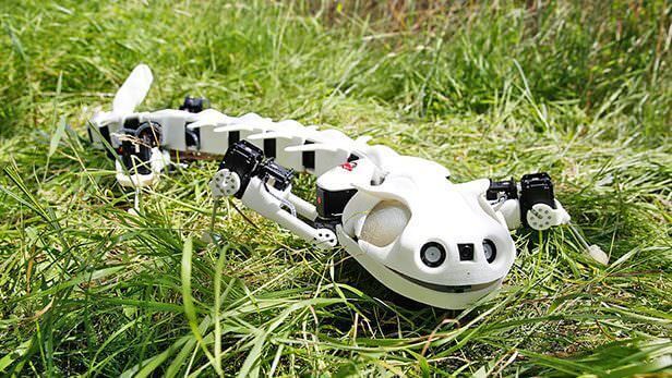 Pleurobot is 3D Printed Robot that Walks & Swims like a Salamander | All3DP