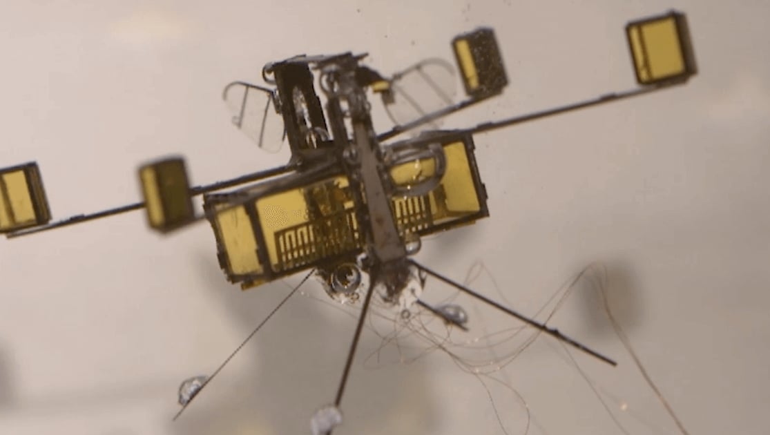 Insect-inspired Hybrid Drone Flies, Swims and Explodes Out of the Water ...