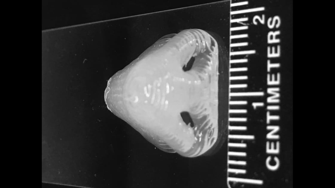 How to 3D Print a Better Nose with PDMS Polymer | All3DP