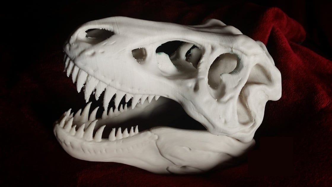 The Best Bio Filaments for 3D Printing | All3DP