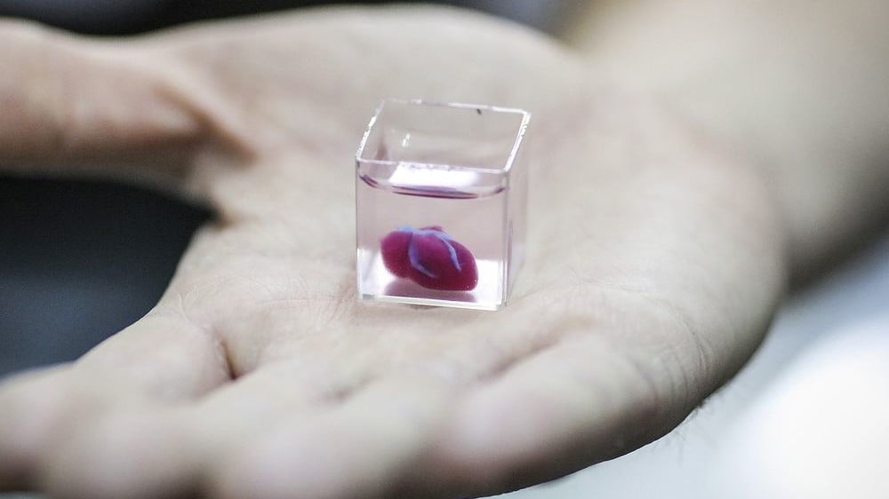 Israeli Researchers 3D Print Tiny Heart with Blood Vessels and Chambers ...
