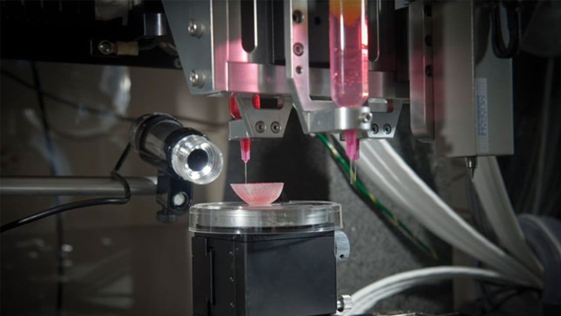 3D Printed Kidney: The Latest Advancements | All3DP