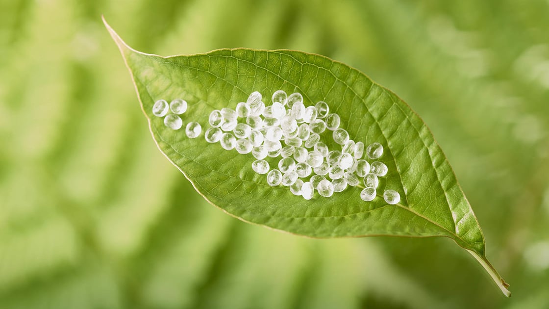 Is PLA Recyclable? – Simply Answered | All3DP