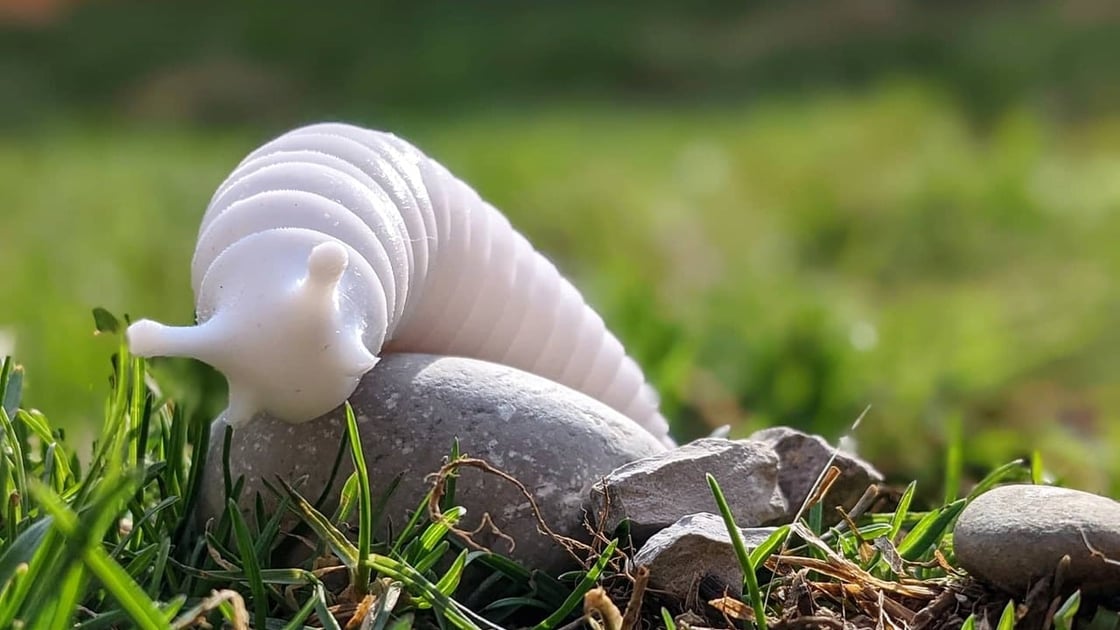 3D Printed Slug: Incredibly Cute Models to 3D Print | All3DP