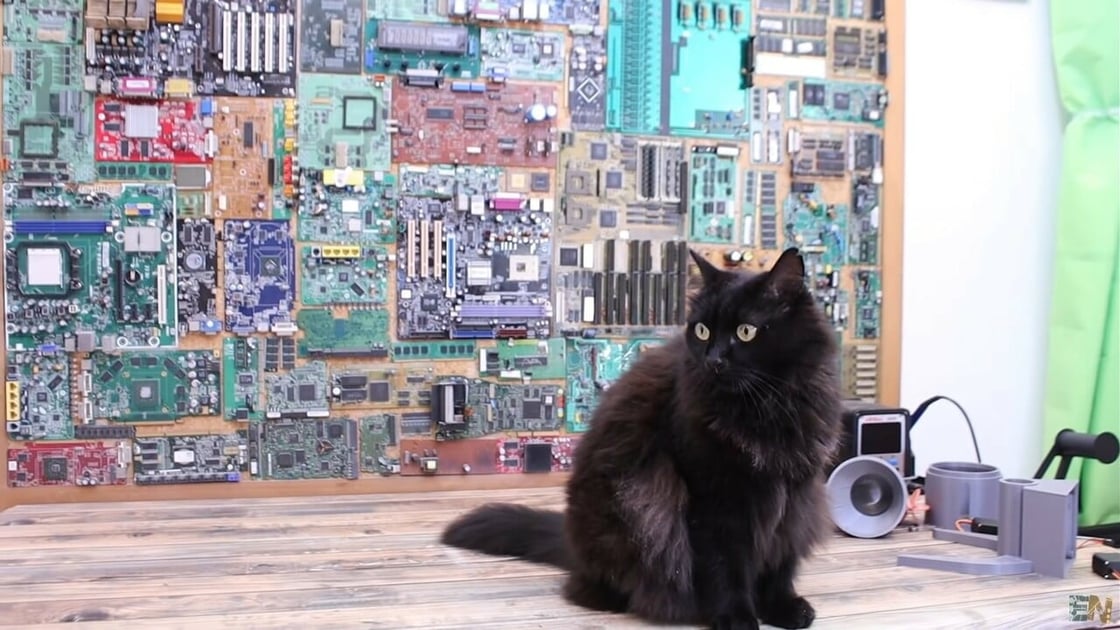 Arduino Pet Feeder: Amazing Projects for Cats & Dogs | All3DP