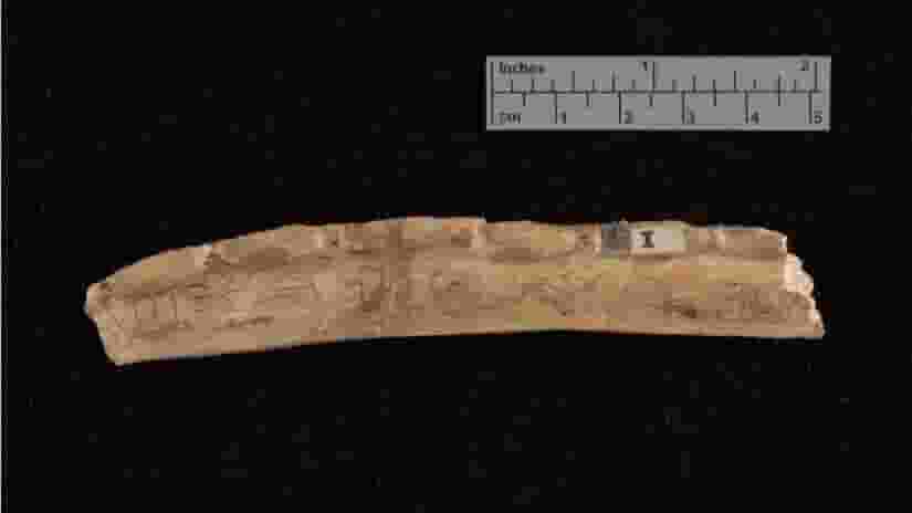 Reviving Ancient China With 3D Printed "Oracle Bones" | All3DP