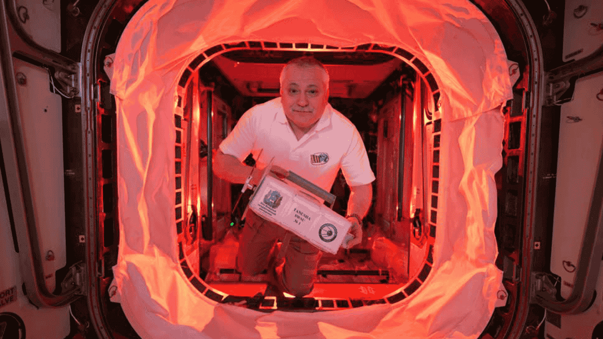 NASA Livestream: Watch Astronauts Deploy 3D Printed Satellite | All3DP