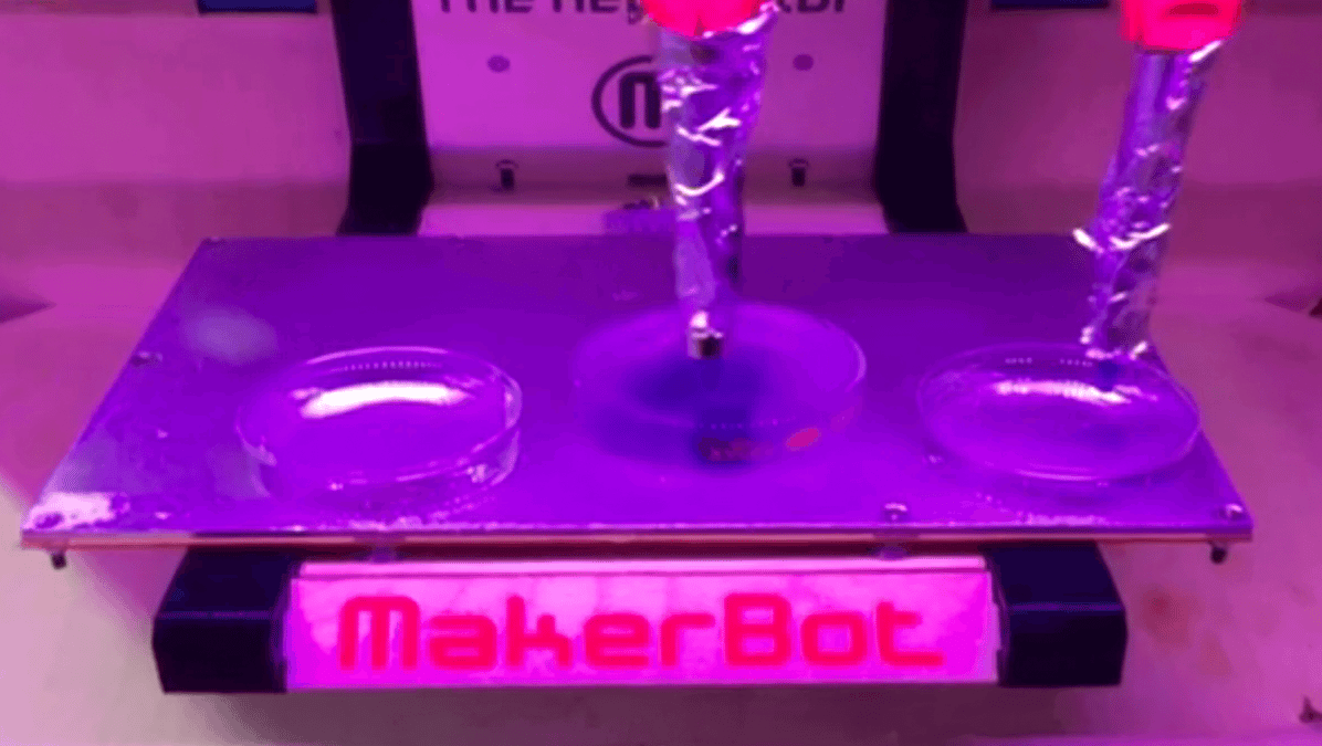 3d printed human tissue