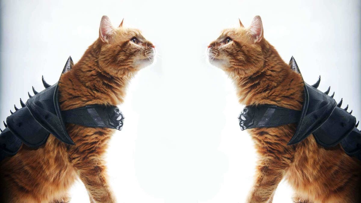 Dressed To Kill: 3D Printed Cat Armor | All3DP
