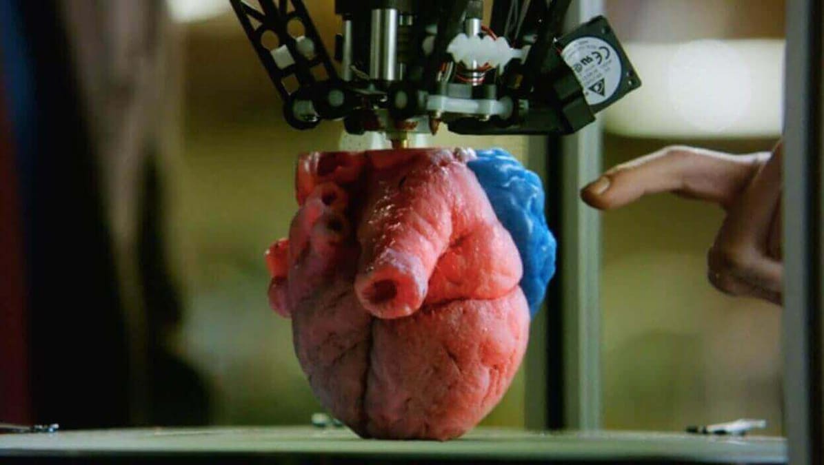 3d printed heart