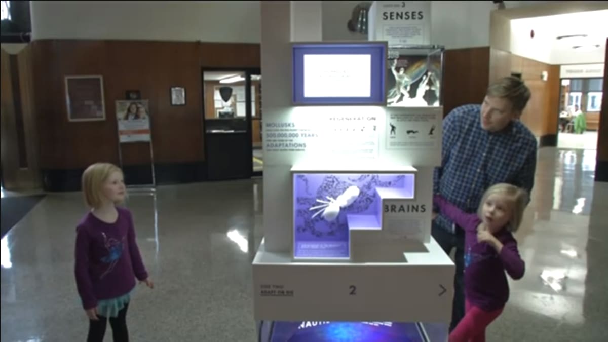 Miniature Mollusk Museum in Brooklyn Public Library | All3DP