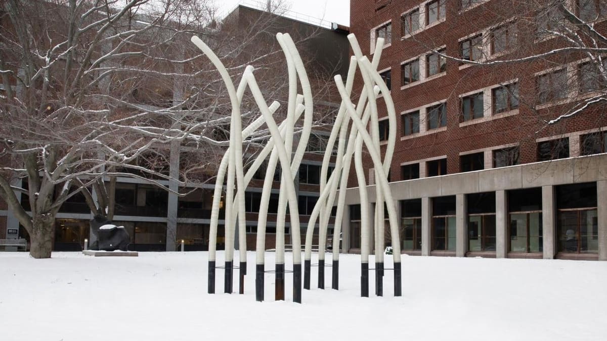 MIT's Insect-Like Robots Can Build Solid Structures | All3DP