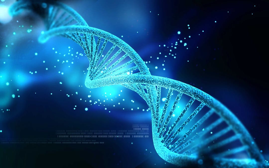 3D Printed Bunny Holds Information Encoded in DNA to Copy Itself | All3DP