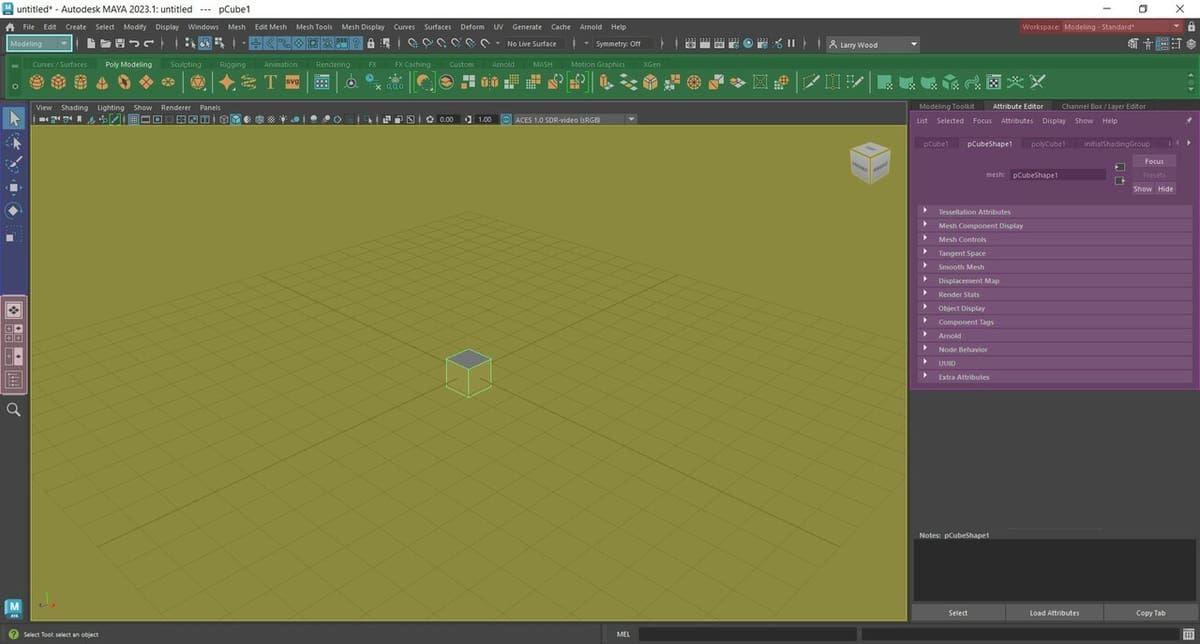 maya 3d basics