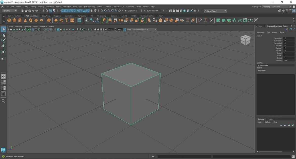 maya 3d basics