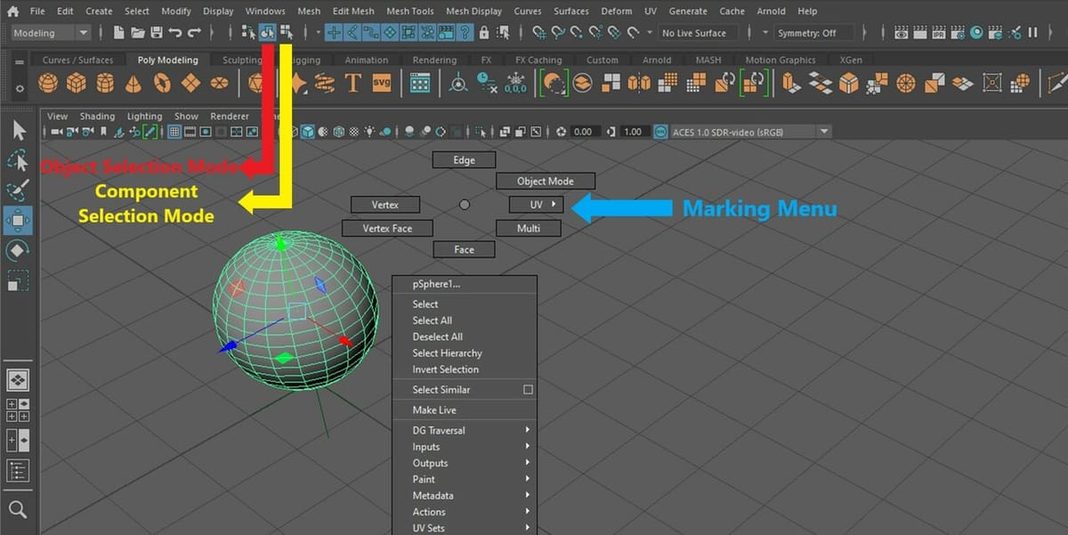 maya 3d basics