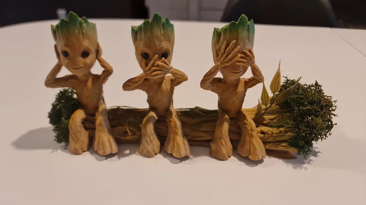 smile designer groot