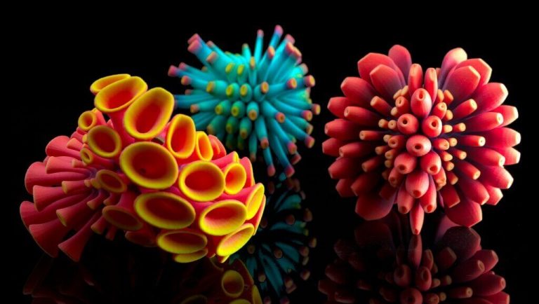 Browse through 3D printed art | All3DP