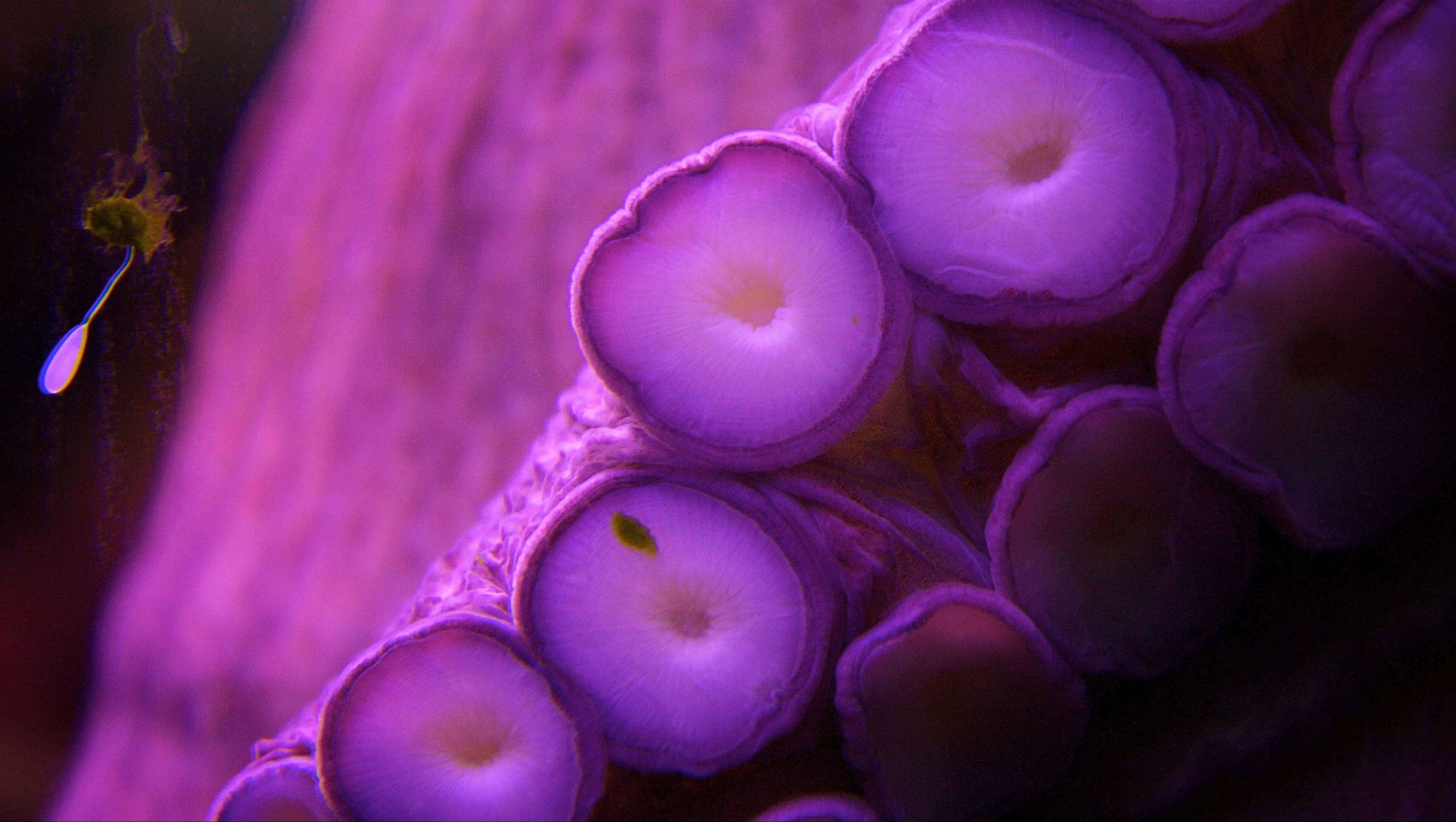 3d Printed Robot Tentacle All3dp