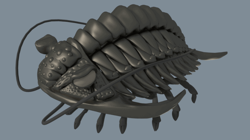 3D Printed Trilobites in Metal Look Absolutely Incredible | All3DP