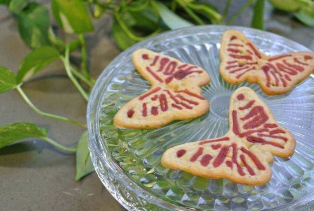 24 Examples of 3D Printed Food from Tomorrow's Kitchen | All3DP