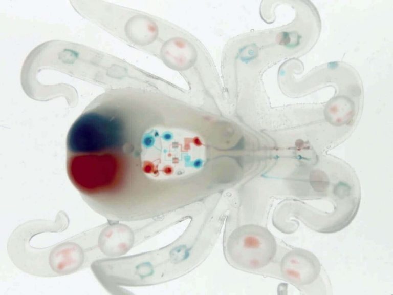 Octobot is a Farting Robot Octopus that's 3D Printed | All3DP