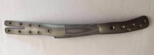 Give a Dog a Bone (Implant) with 3D Printing | All3DP