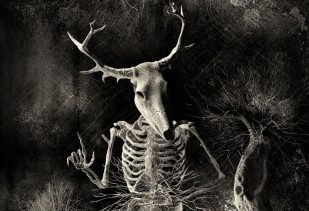 3D Printed Pig's-Eye Model Shortlisted for Wellcome Image Awards 2017 ...