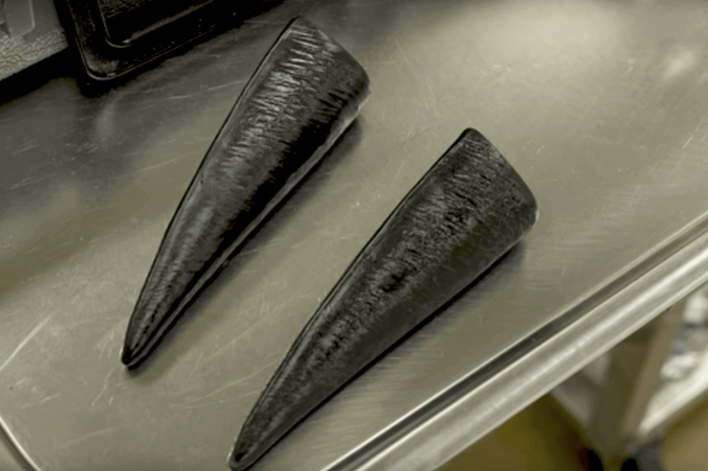 Karl the Hornbill Receives a New 3D Printed Beak Prosthetic | All3DP