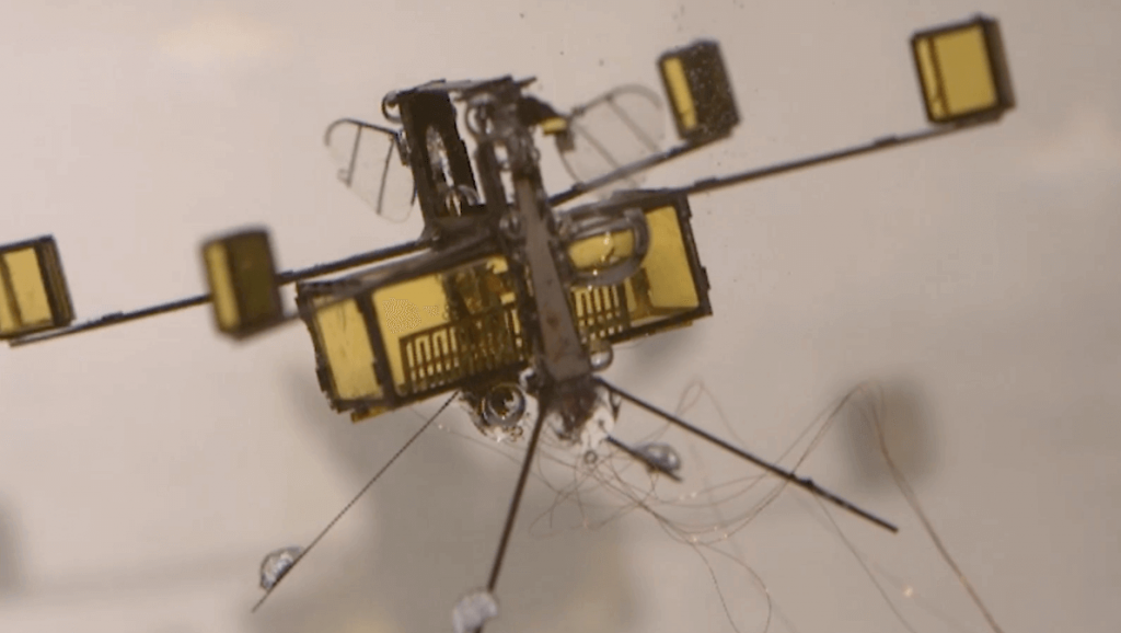 Insect-inspired Hybrid Drone Flies, Swims and Explodes Out of the Water ...
