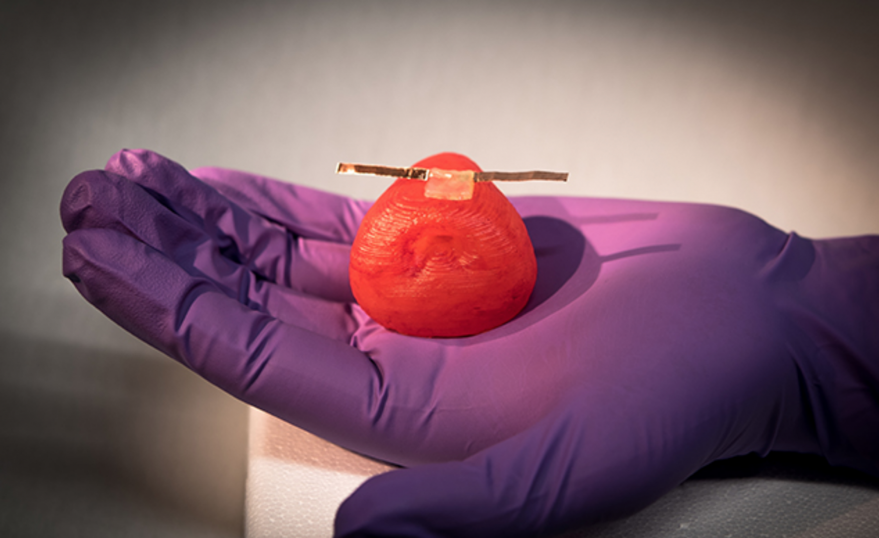 Minnesota Researchers Create 3D Printed Organs for Realistic Surgical ...