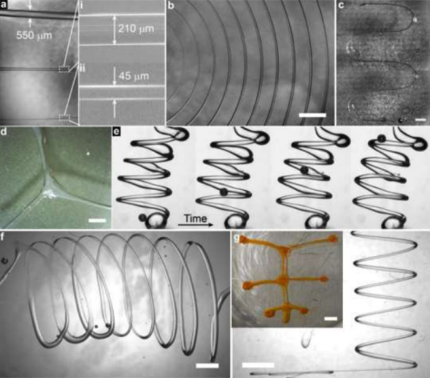 Berkeley Scientists 3D Print Liquid Structures Within Liquids | All3DP