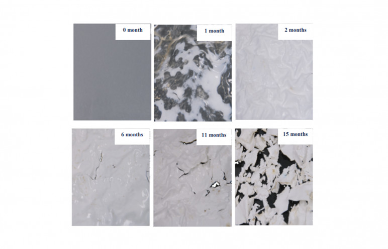 Is PLA Biodegradable? – What You Really Need to Know | All3DP