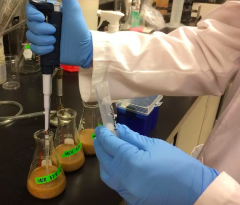 Students Fly in Vomit Comet to Test Out 3D Printed Bioplastic Tools ...