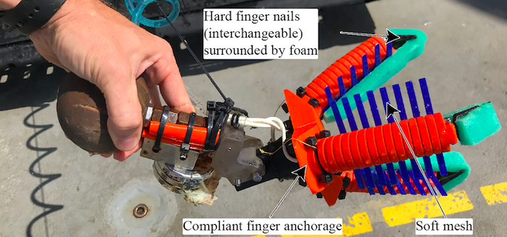 Researchers 3D Print Soft Robotic Manipulators to Investigate Fragile ...