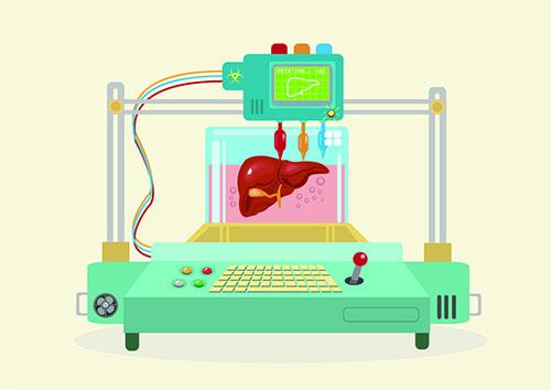 What Is 3D Bioprinting? – Simply Explained | All3DP