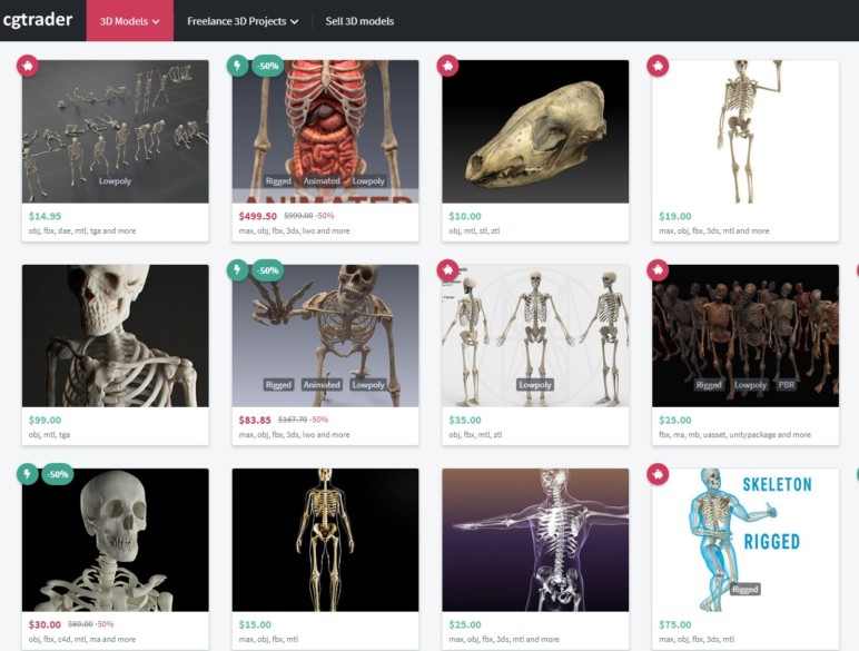 Skeleton 3D Model – 5 Best Sources for Skeletal Systems | All3DP